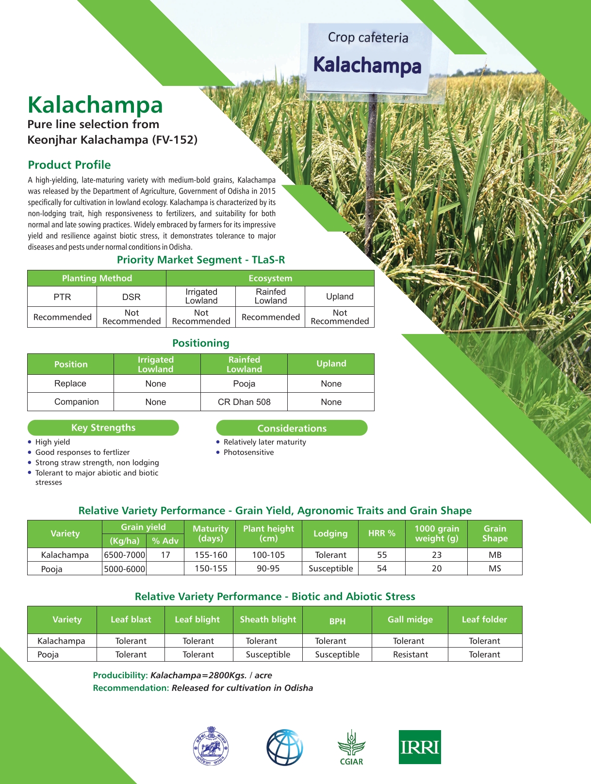 Kalachampa - Rice Based Cropping Systems