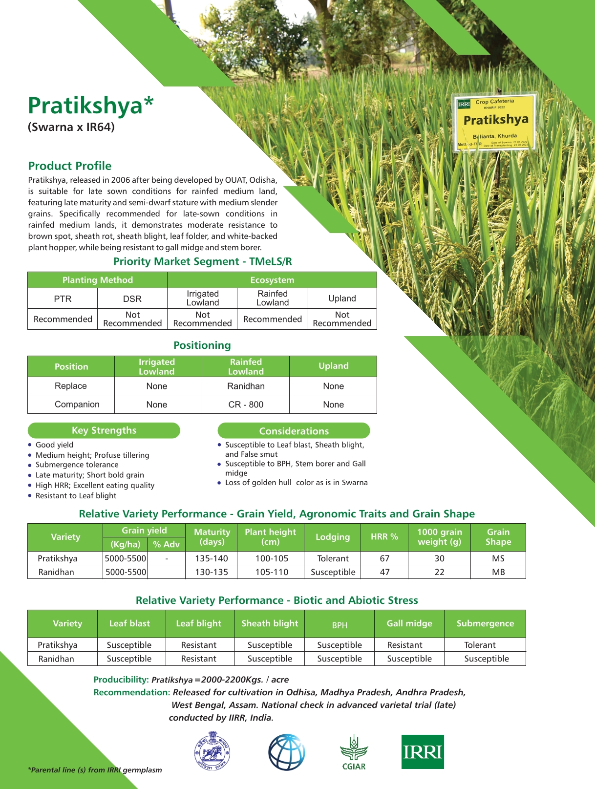 Pratikshya - Rice Based Cropping Systems
