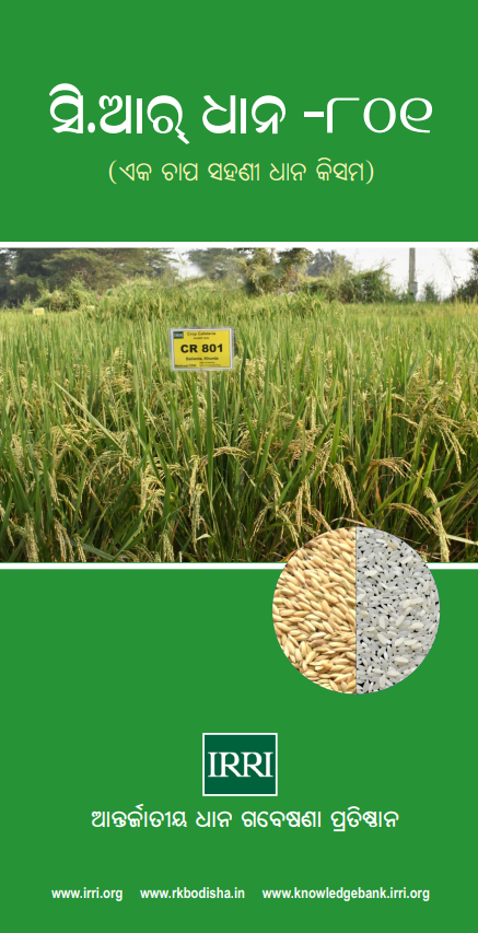 Production Practices of CR Dhan-801 Rice Variety - Rice Based Cropping ...